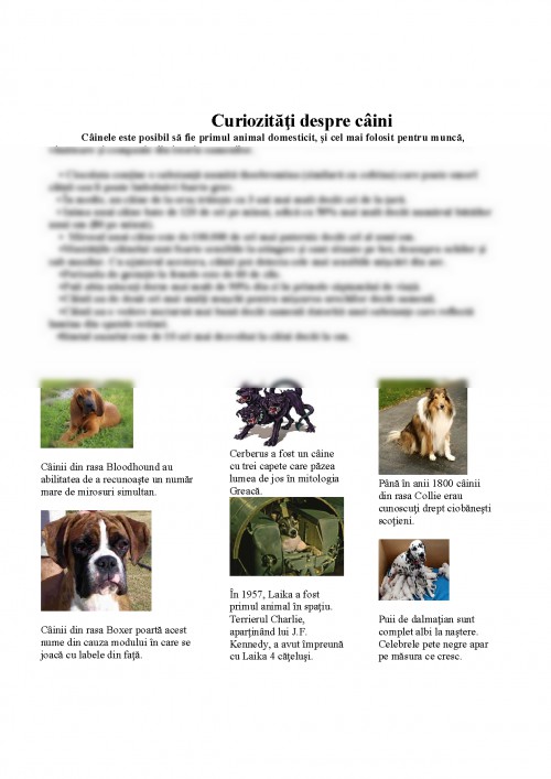 Referat: Curiozități despre Câini (#288257)