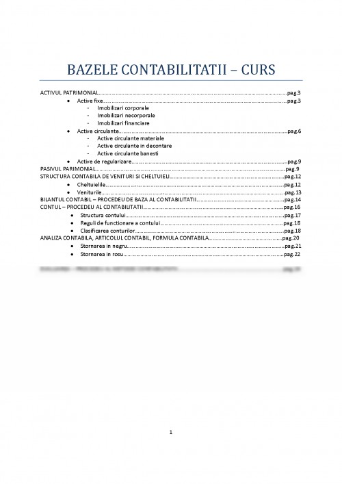 Curs: Bazele contabilității (#289639)