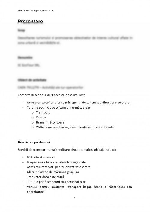 Proiect: Plan de Marketing - Idee de Afacere (#289998)