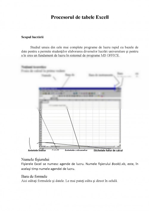 Laborator: Procesorul de Tabele Excell (#290678)