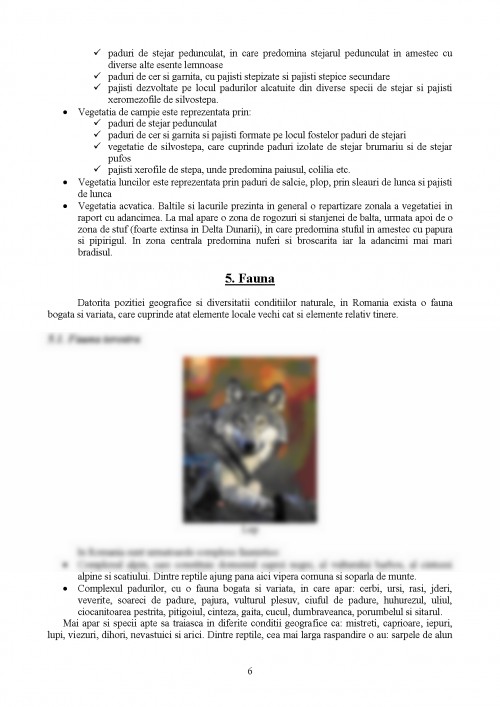 Referat: Geografia României (#291678)