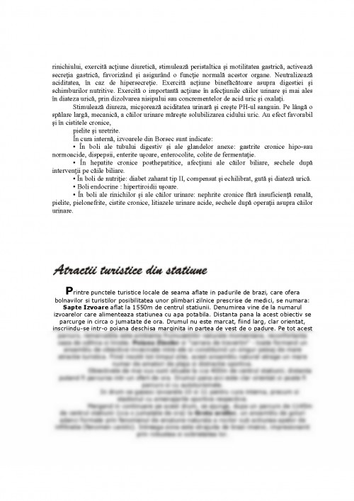 Referat: Atracții turistice - Stațiunea Borsec (#297225)