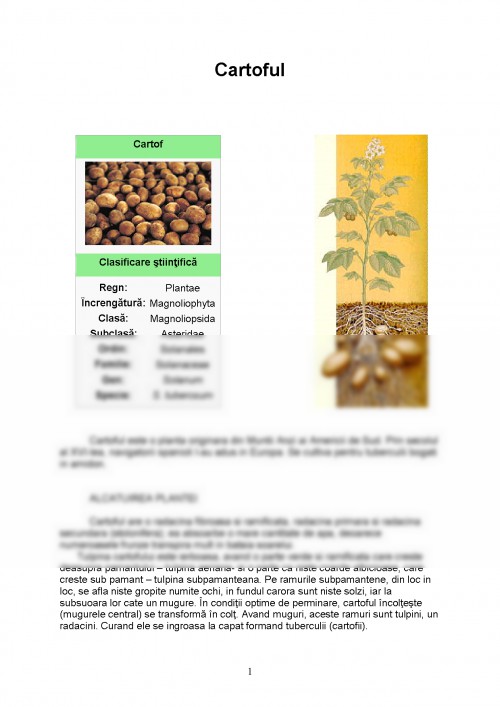 Referat: Cartoful (#298091)
