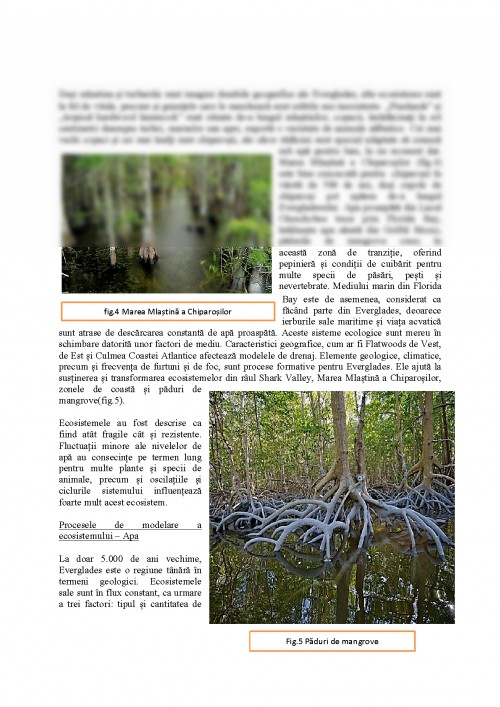 Referat: Parcul Național Everglades (#298213)