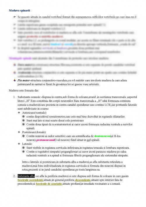 Referat: Reflexul (#299298)