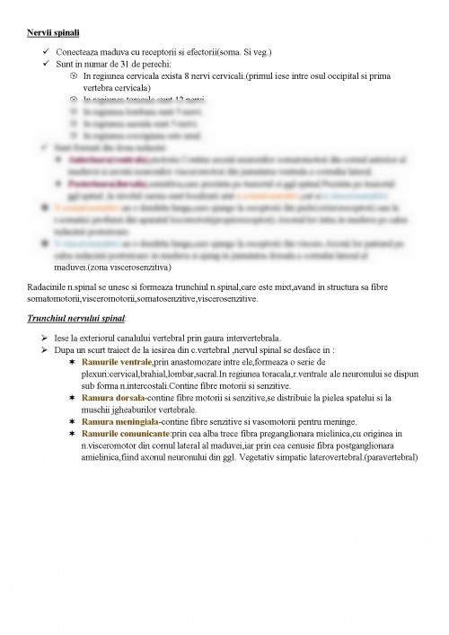 Referat: Reflexul (#299298)