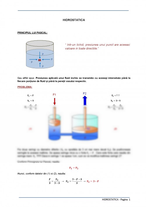Referat: Hidrostatică (#315261)