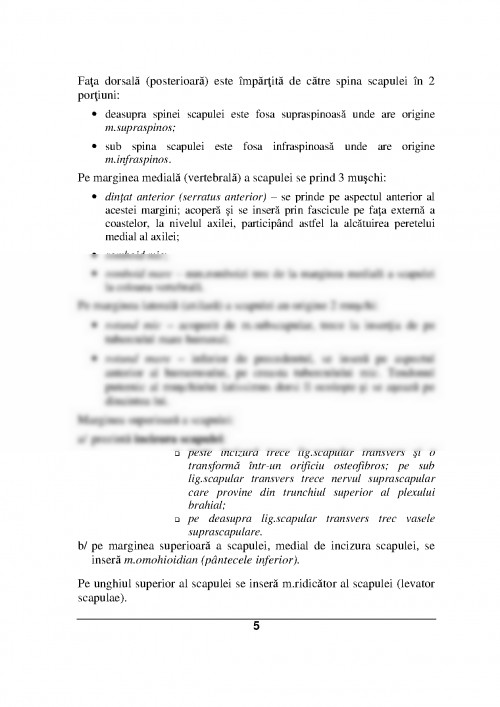 Licența: Membrul Superior (#315857)