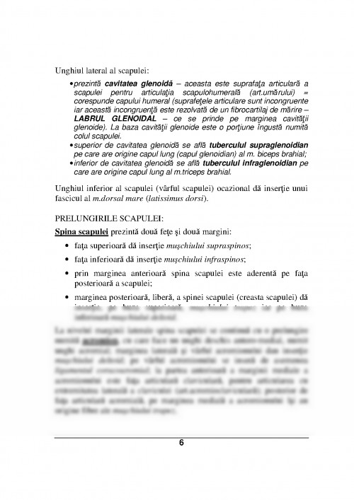 Licența: Membrul Superior (#315857)