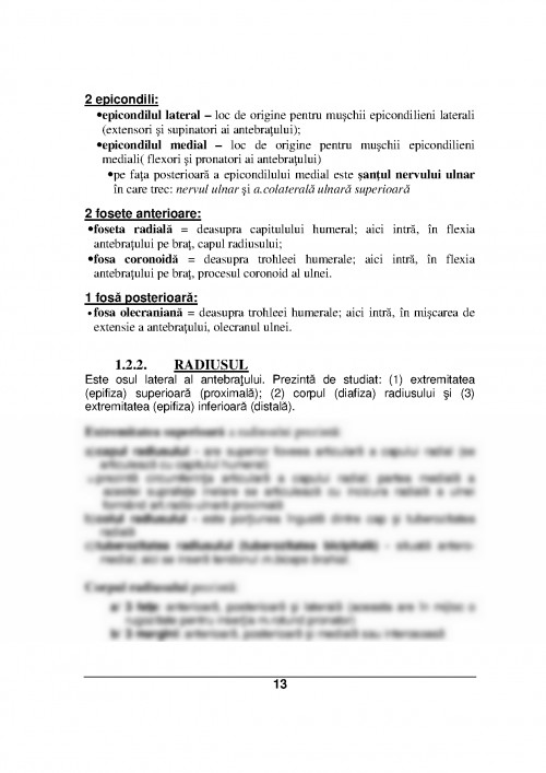 Licența: Membrul Superior (#315857)