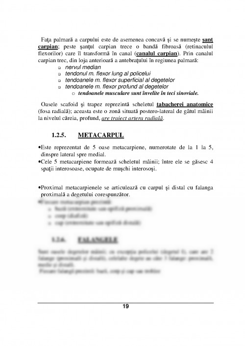 Licența: Membrul Superior (#315857)