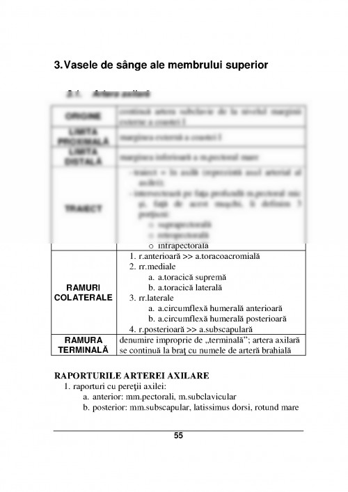 Licența: Membrul Superior (#315857)