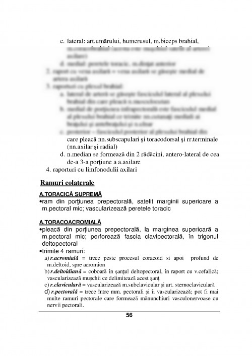 Licența: Membrul Superior (#315857)