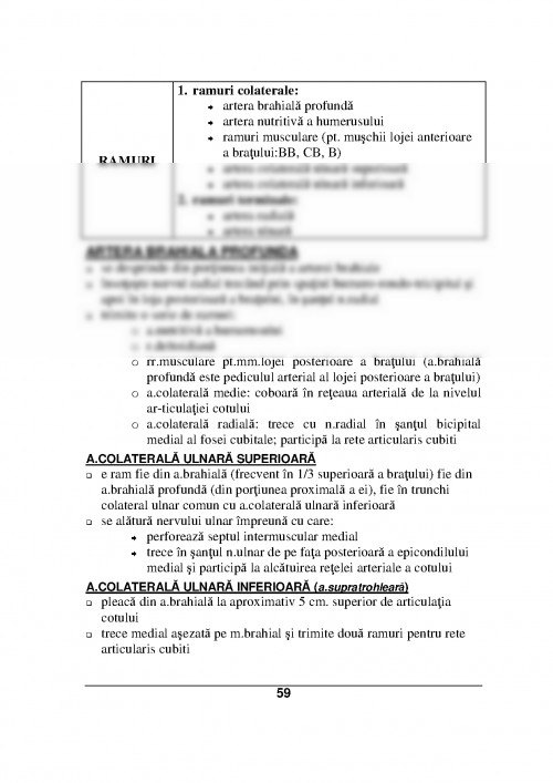 Licența: Membrul Superior (#315857)