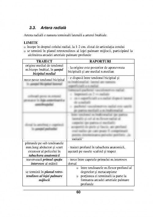 Licența: Membrul Superior (#315857)