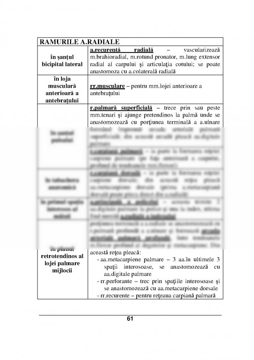 Licența: Membrul Superior (#315857)