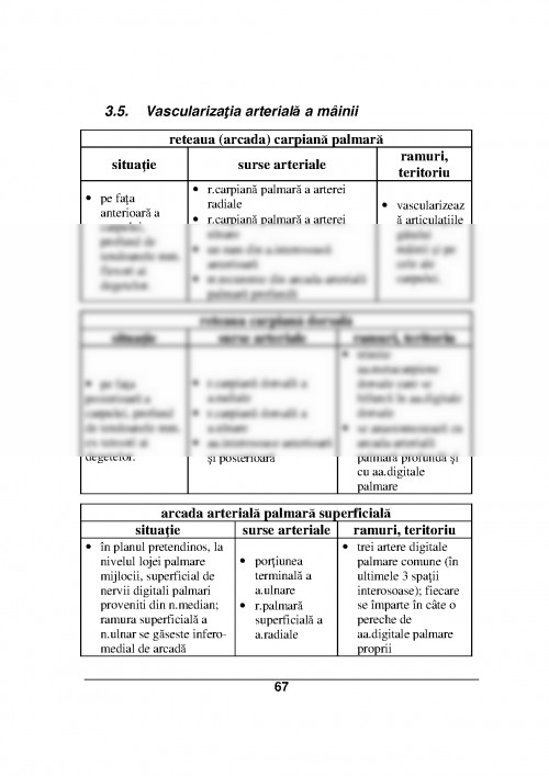 Licența: Membrul Superior (#315857)