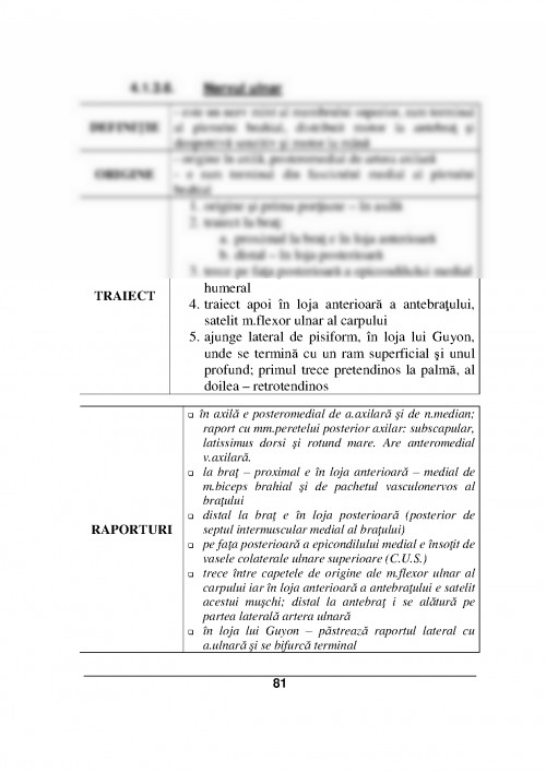 Licența: Membrul Superior (#315857)