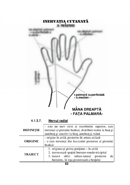 Licența: Membrul Superior (#315857)