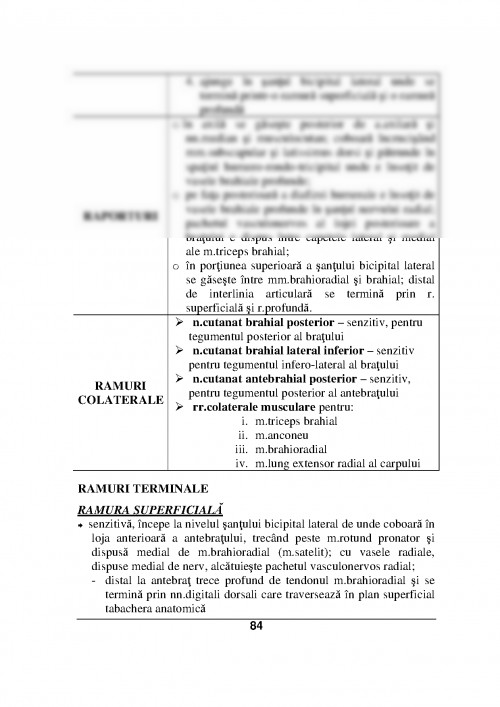 Licența: Membrul Superior (#315857)