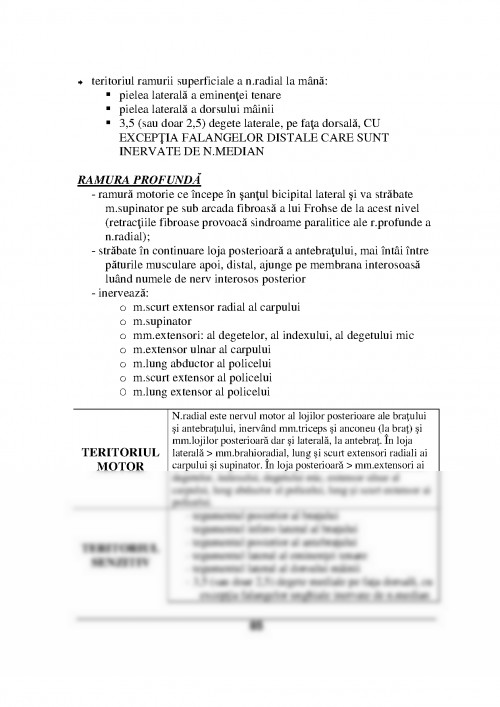 Licența: Membrul Superior (#315857)