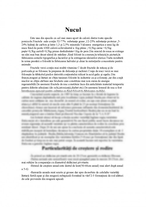 Referat: Nucul (#316342)