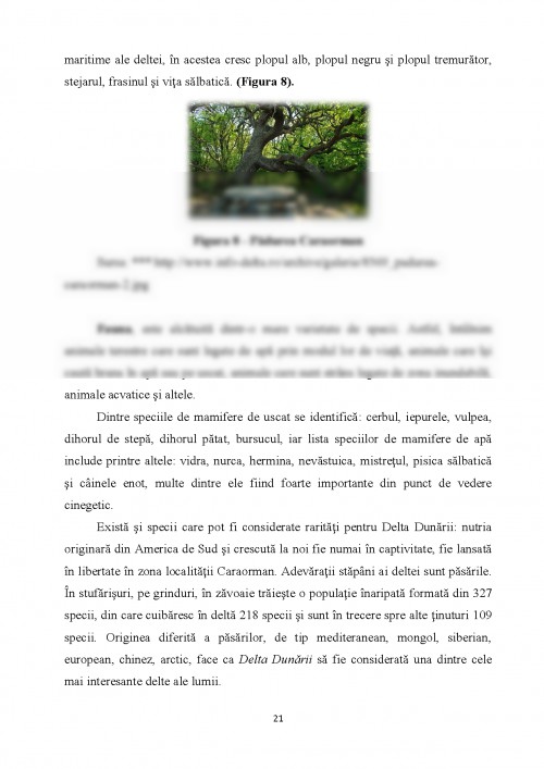 Licența: Poziția României în Contextul Pieței Turistice Europene (#317963)