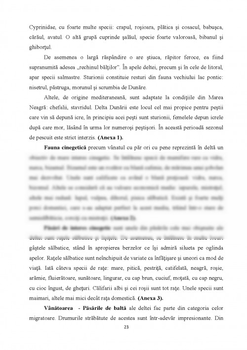 Licența: Poziția României în Contextul Pieței Turistice Europene (#317963)