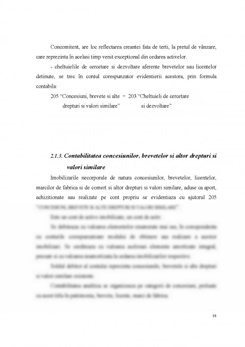 Licența: Amortizarea și structura activelor corporale și necorporale ...
