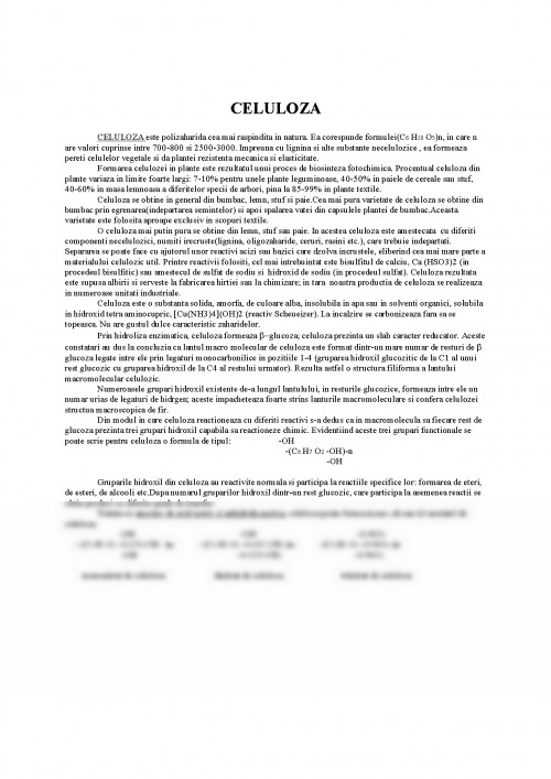 Referat: Celuloza (#322653)