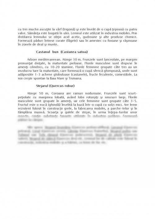 Referat: Familia Fagaceea (#322696)