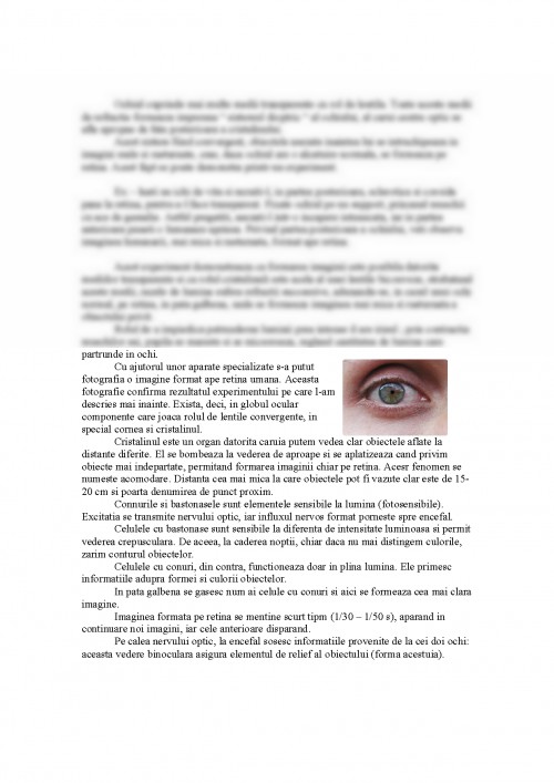 Referat: Despre Ochi (#323745)