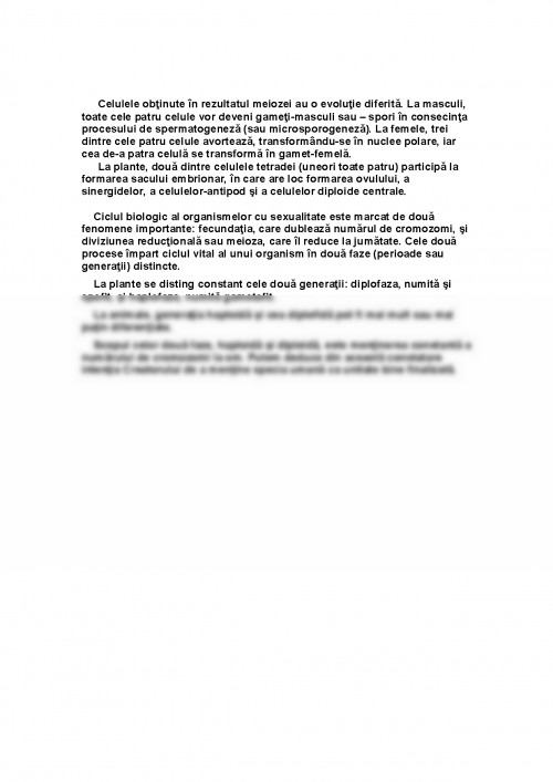 Referat: Diviziunea (#323751)