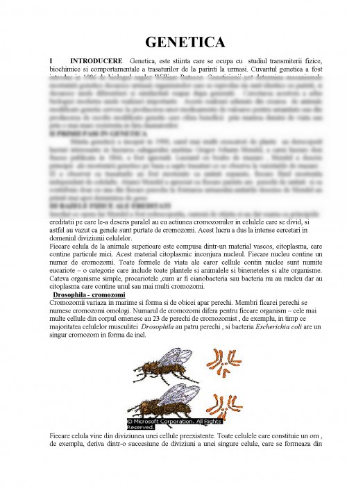 Referat: Genetică (#323785)