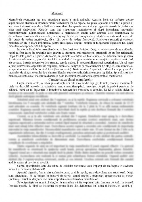 Referat: Mamifere (#323822)