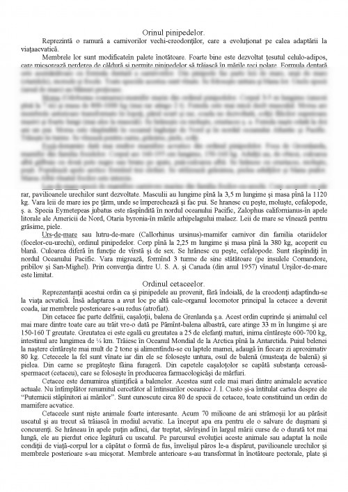 Referat: Mamifere (#323822)