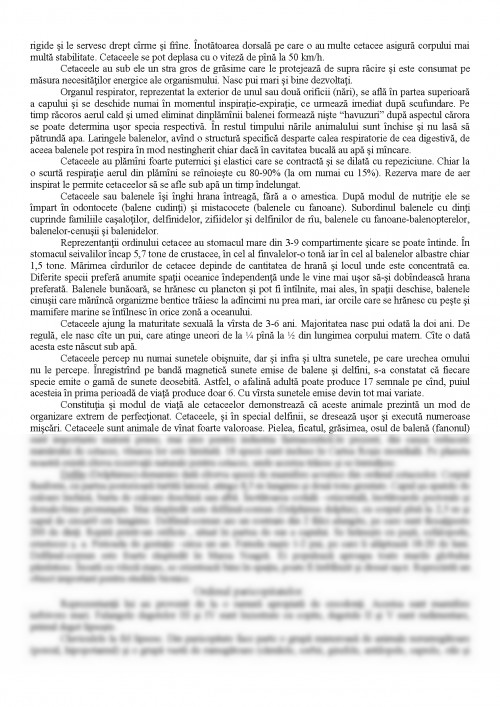 Referat: Mamifere (#323822)