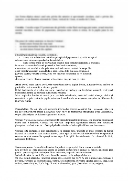 Referat: Ochiul (#323843)