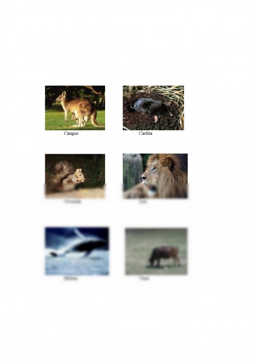 Referat: Principalele Grupe De Animale (#323873)