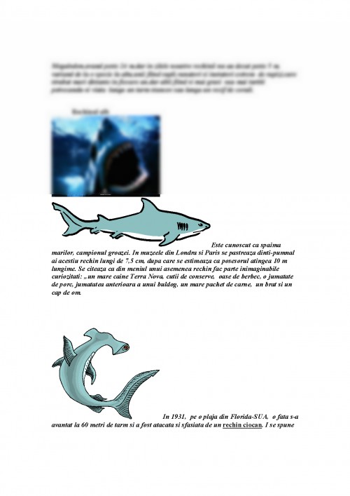 Referat: Rechinii (#323884)