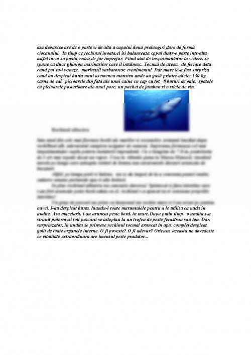 Referat: Rechinii (#323884)