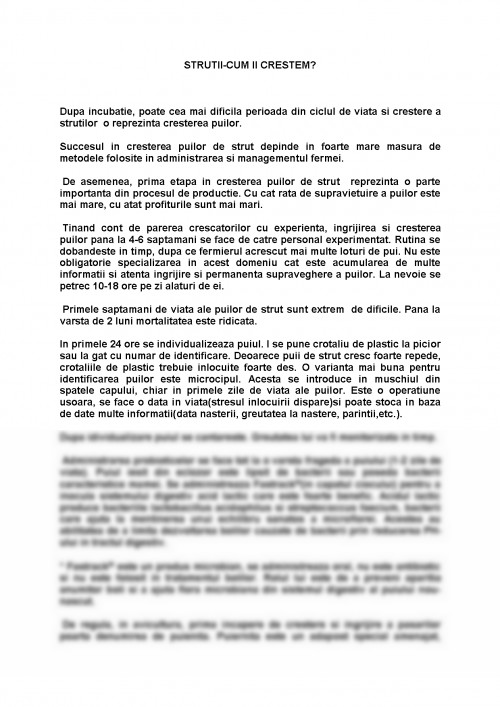 Referat: Struții (#323911)