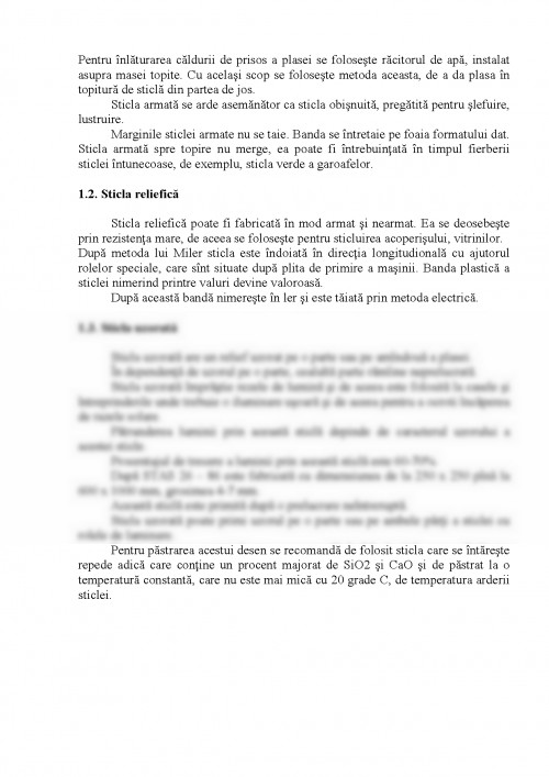 Referat: Sticla armată și cu relief (#324091)