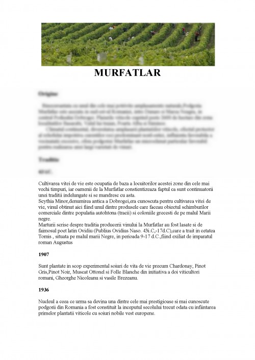 Referat: Murfatlar (#326310)