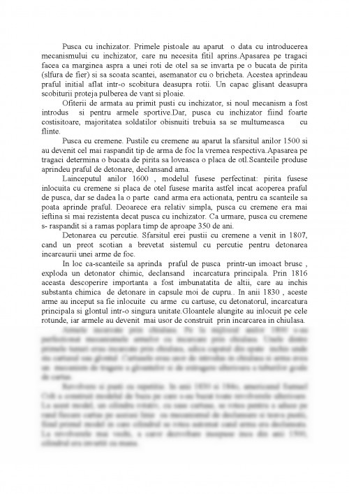 Referat: Arme De Foc (#328619)