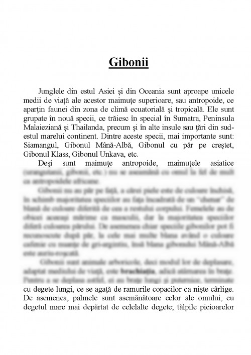 Referat: Gibonii (#329448)