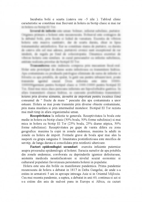 Referat: Holera (#329460)