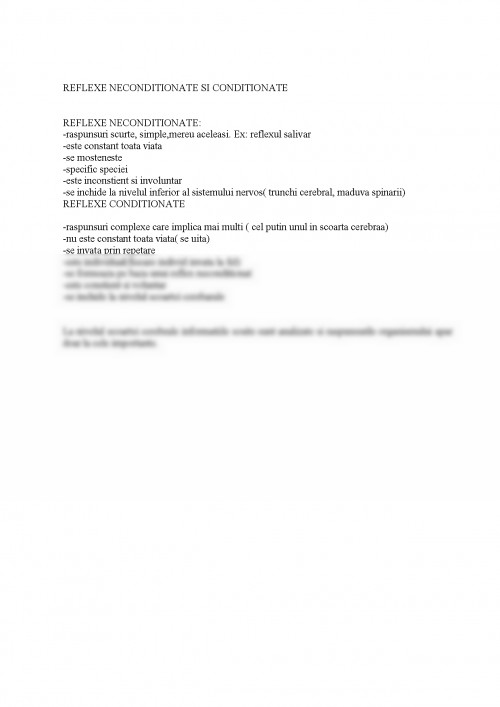 Referat: Sistemul Nervos Recapitulare (#329539)