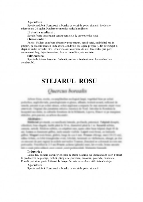 Referat: Stejarul (#329545)