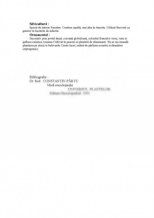 Referat: Stejarul (#329545)